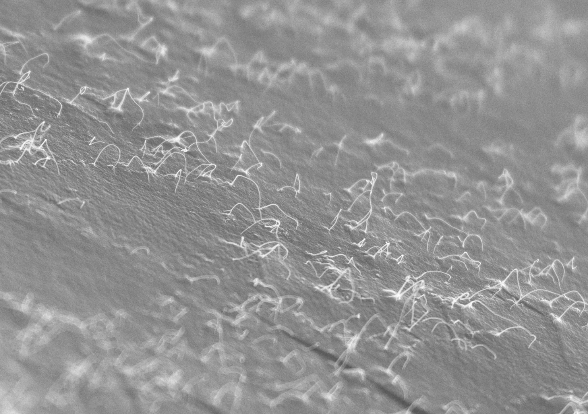 Anti-static Agent for PVC Plastisol