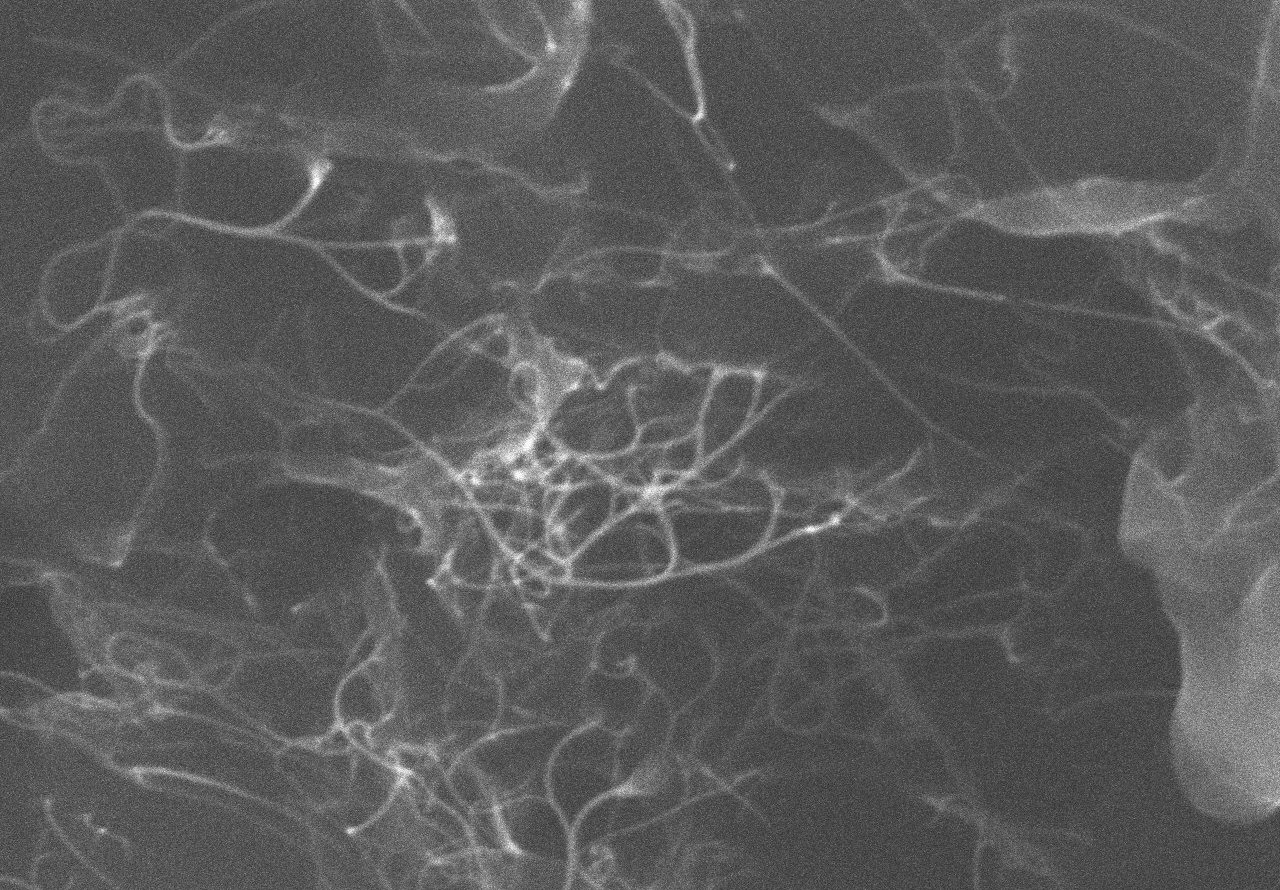 ESD additive for solvent-based epoxy