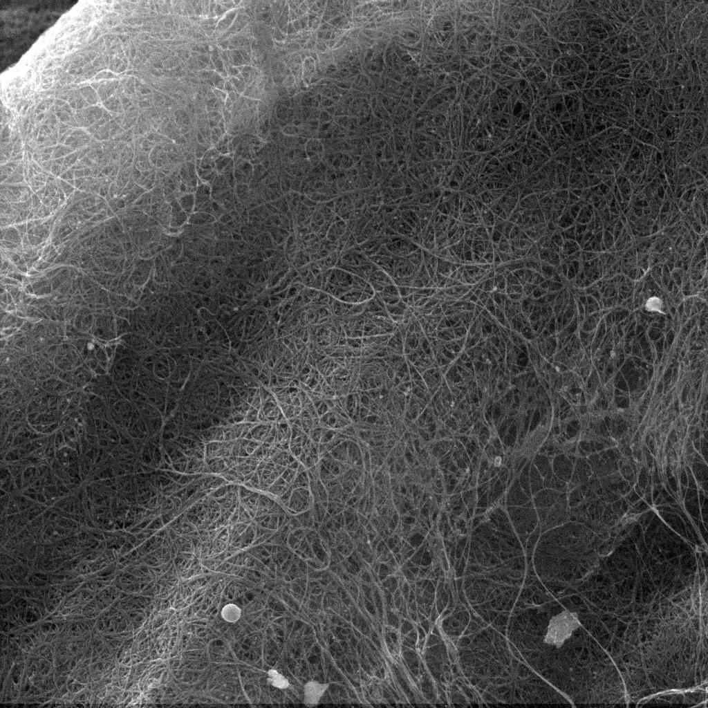 Buy Single-Walled Carbon Nanotubes - 90% of the Global Production